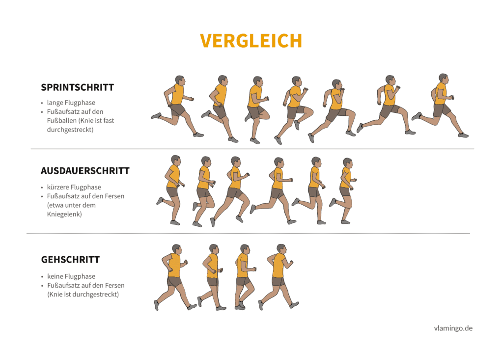 Leichtathletik: 30+ Technikkarten für die Schule & Verein Leichtathletik: 30+ Technikkarten für die Schule & Verein